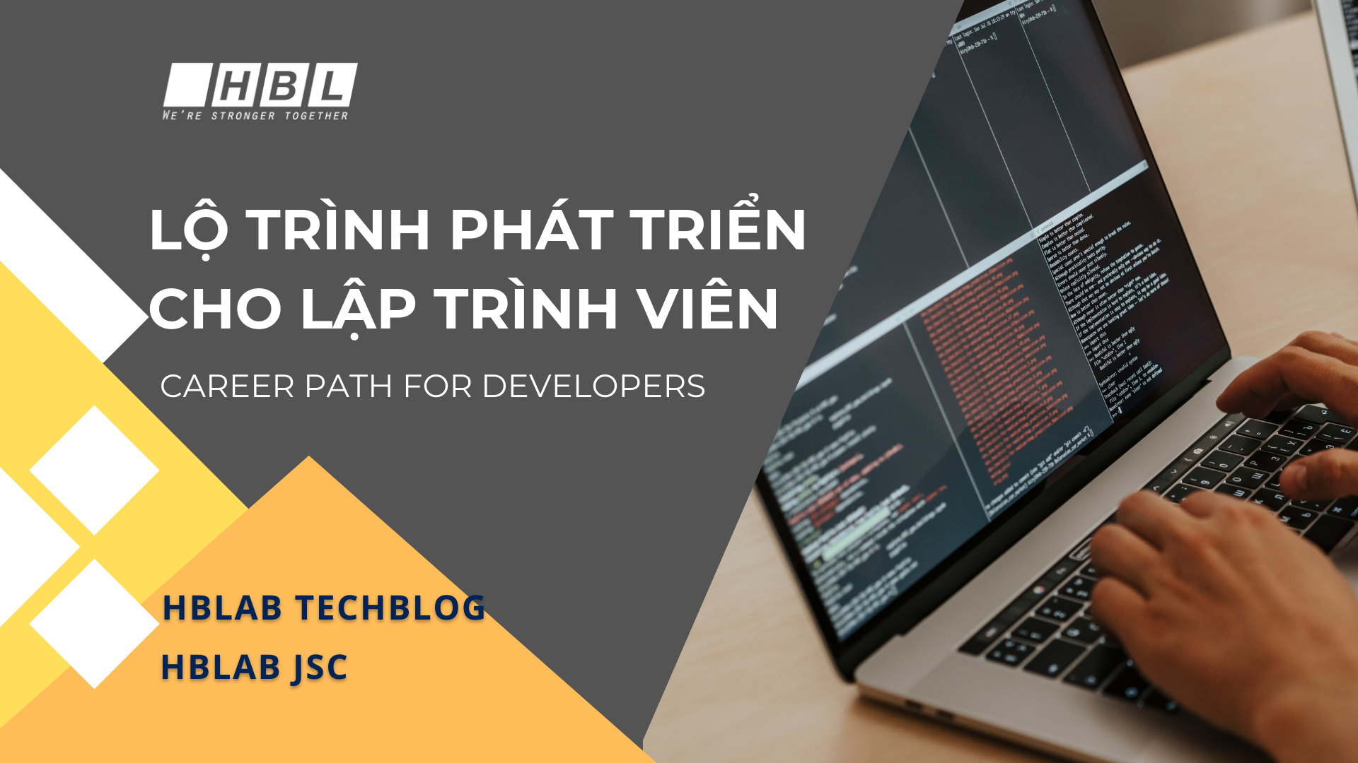Lộ trình phát triển cho lập trình viên (Career Path for Developers ...
